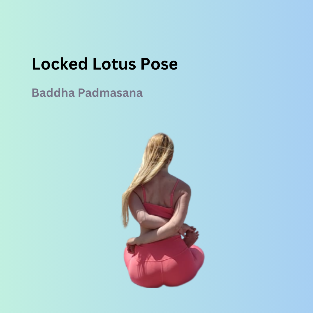 Locked Lotus Pose – Yoga And More School